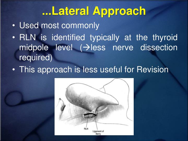 PPT - Surgical Anatomy Thyroid and Parathyroid Glands PowerPoint ...