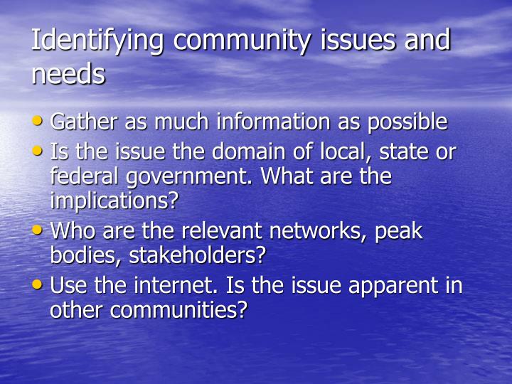 PPT - Identifying issues and needs within the community PowerPoint ...