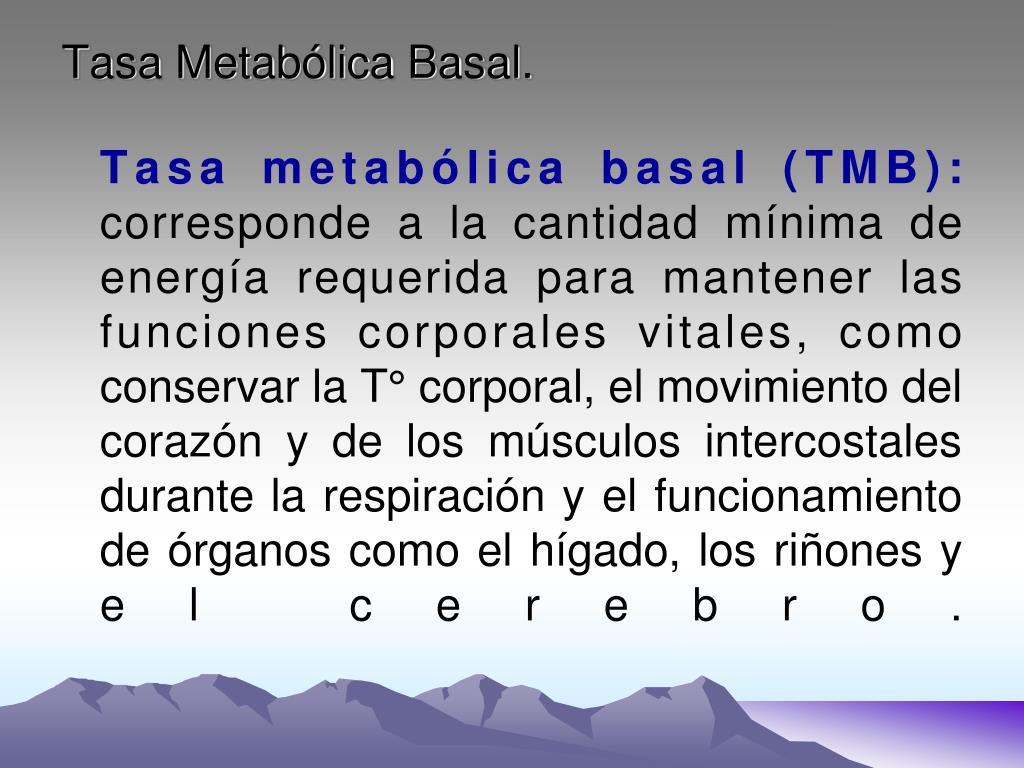 PPT - Tasa Metabólica Basal. IMC y balance energético. PowerPoint ...