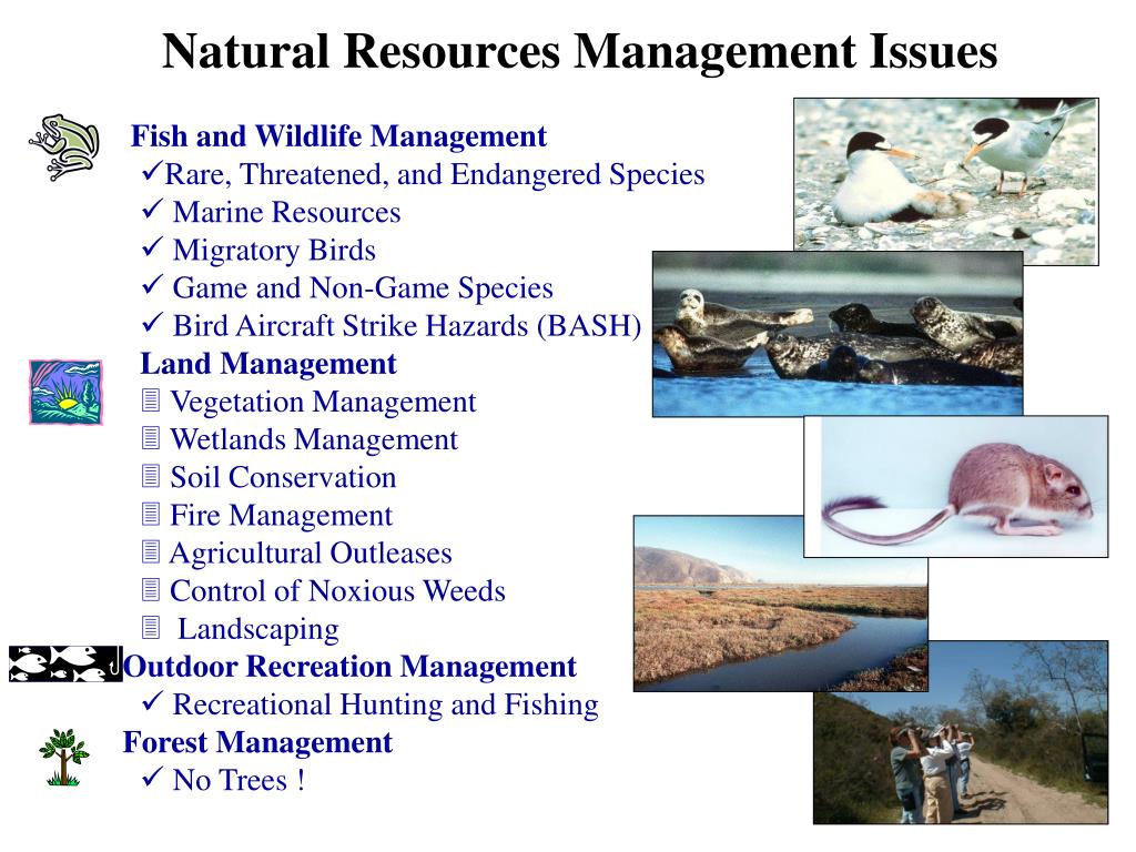 PPT - Integrated Natural Resources Management Plan Development on Navy ...