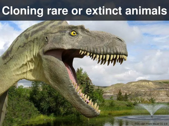 PPT - Cloning rare or extinct animals PowerPoint Presentation, free ...