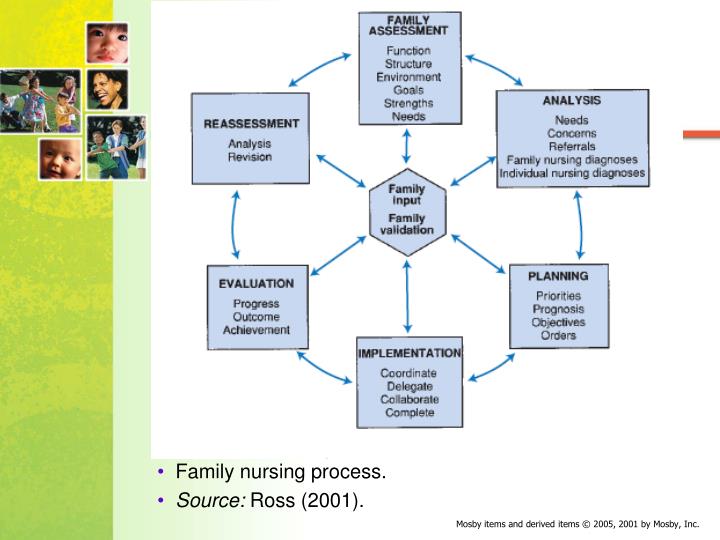 PPT - Family Nursing Assessment and Intervention. Family Health ...