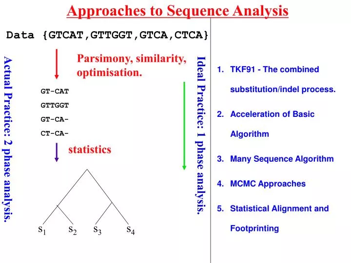 PPT - Approaches to Sequence Analysis PowerPoint Presentation, free ...