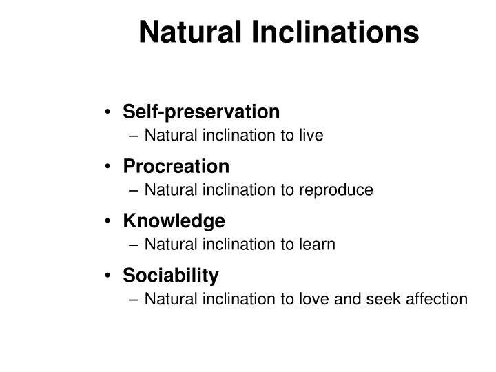 PPT - Today’s Assignment: Natural Law PowerPoint Presentation - ID:1410398
