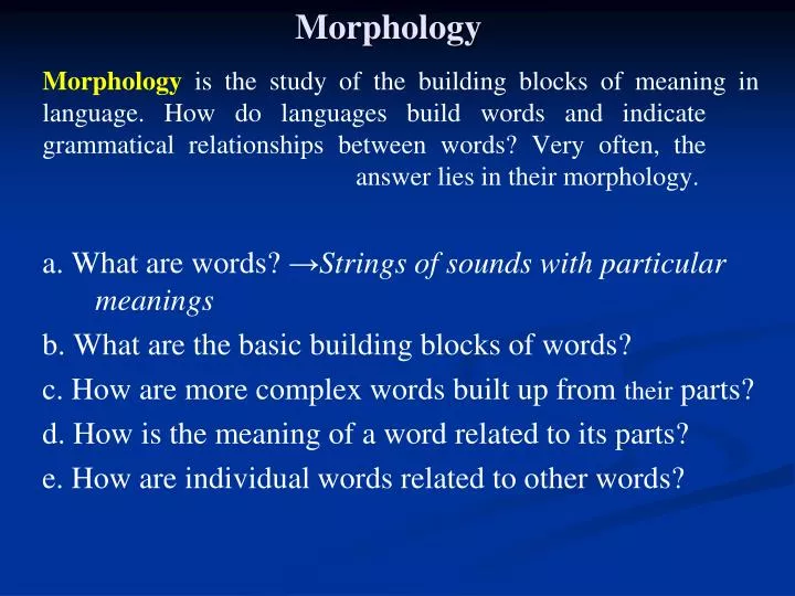 PPT - Morphology PowerPoint Presentation, free download - ID:1411347