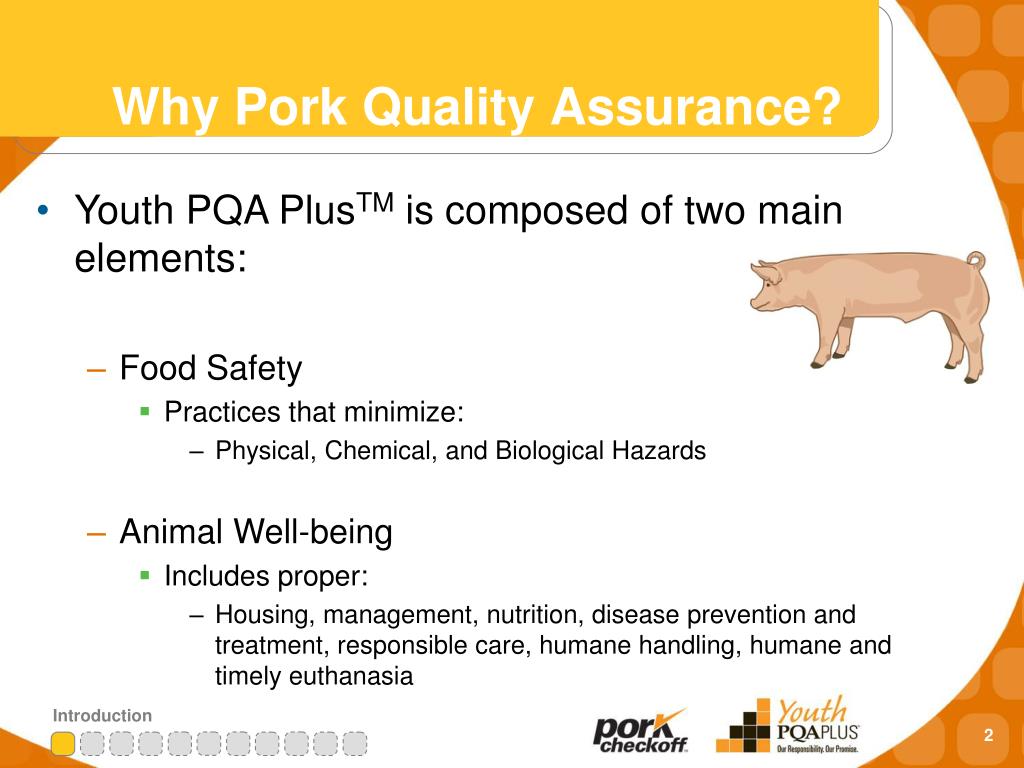 PPT - Youth Pork Quality Assurance Plus TM A Program for Youth ...