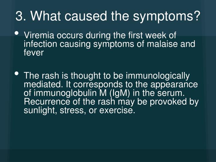 PPT - Parvovirus PowerPoint Presentation - ID:1412318