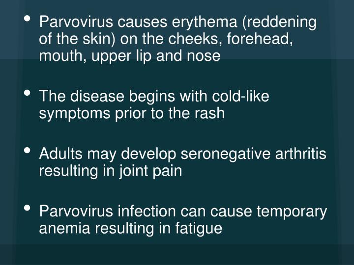 PPT - Parvovirus PowerPoint Presentation - ID:1412318