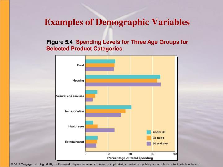 PPT - Chapter 5: Target Markets: Segmentation and Evaluation PowerPoint Presentation - ID:1412810