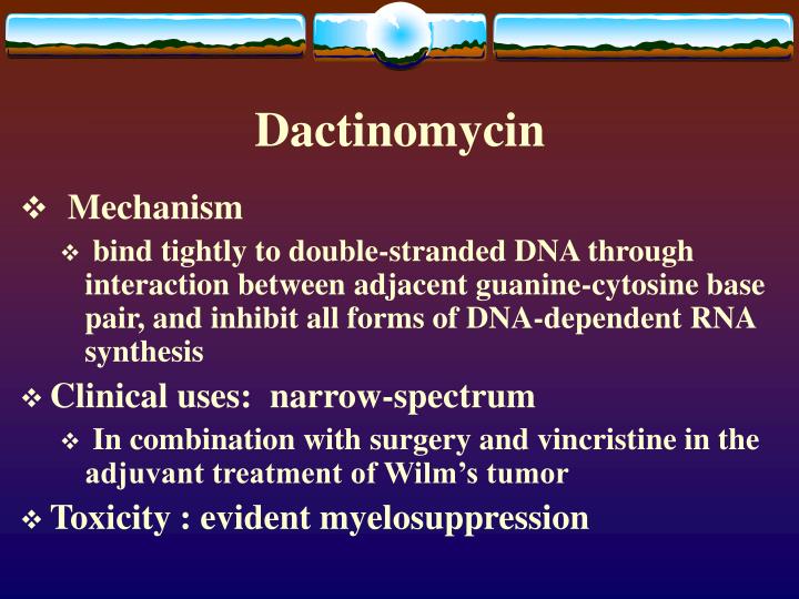 PPT - Chapter 45 Antineoplastic drugs PowerPoint Presentation - ID:1412989
