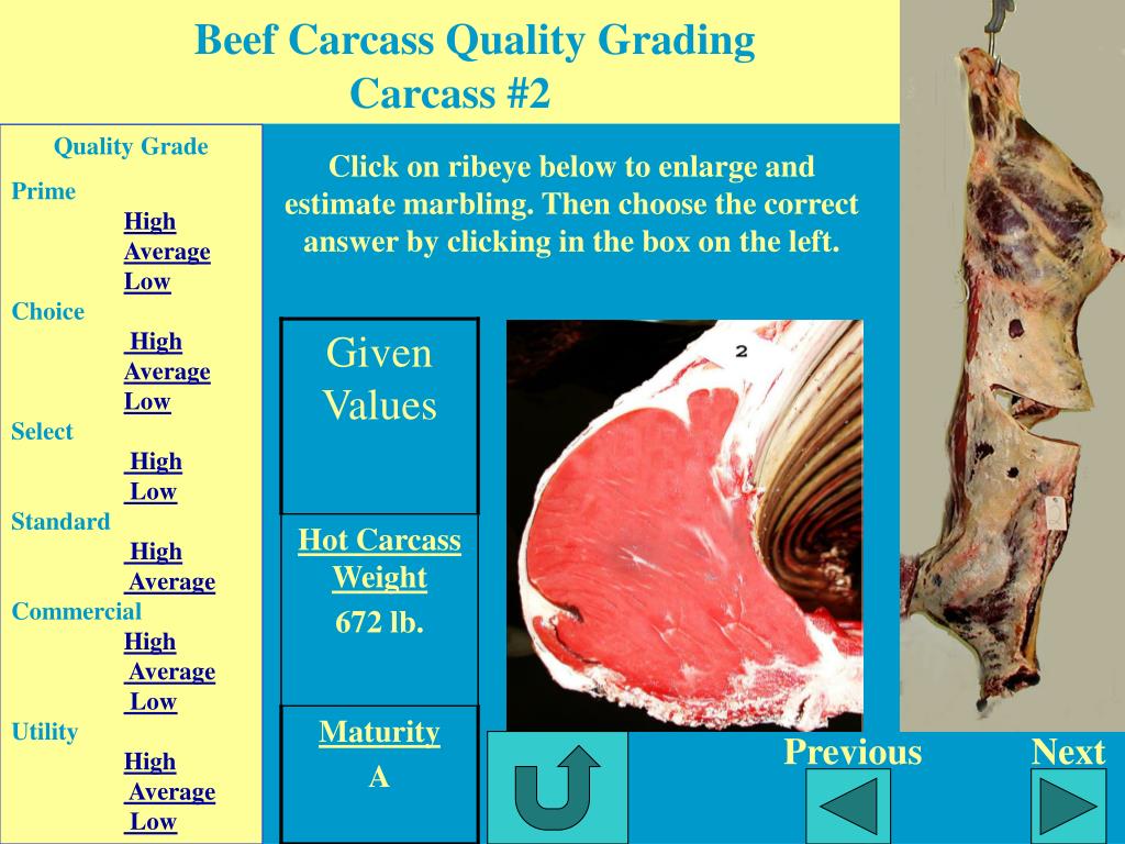 Ppt Beef Carcass Quality Grading Cde Practice Based On The 2003 Georgia State Meats Cde