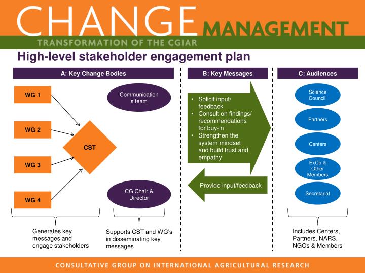 PPT - STAKEHOLDER ENGAGEMENT STRATEGY PowerPoint Presentation - ID:1413342