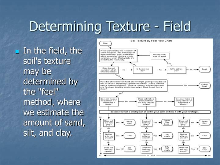 PPT - Soil Texture and Textural Class PowerPoint Presentation - ID:1413504