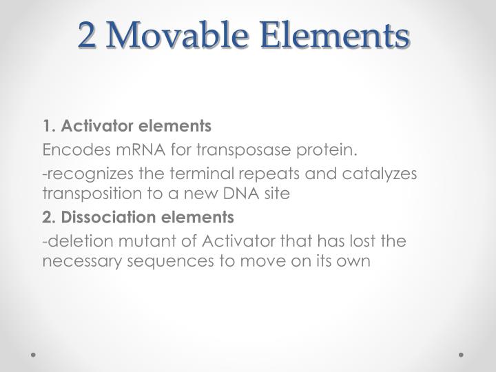 PPT - What are Transposons? PowerPoint Presentation - ID:1413937