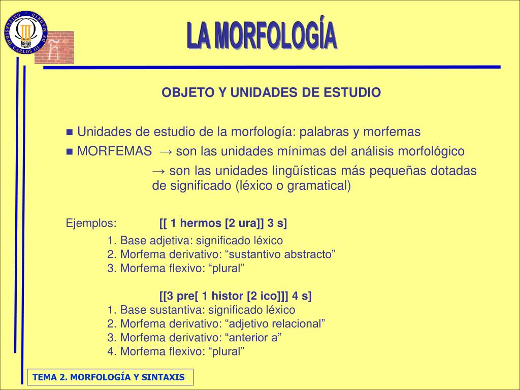 Ppt Introducción Gramática Descriptiva Y Gramática Normativa