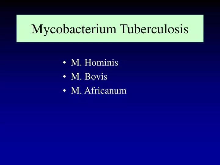 PPT - Mycobacterium Tuberculosis PowerPoint Presentation, free download ...