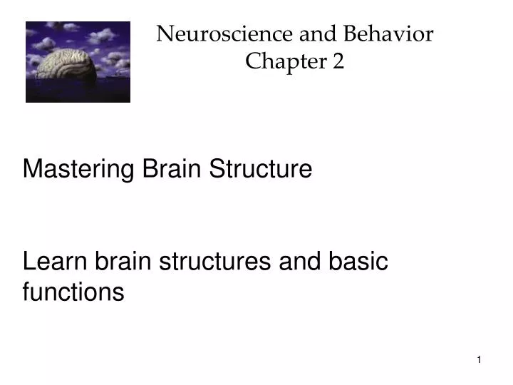 PPT - Neuroscience and Behavior Chapter 2 PowerPoint Presentation, free ...