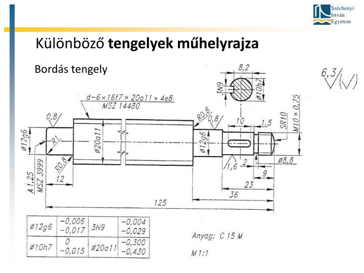 PPT - TENGELYEK PowerPoint Presentation - ID:1417687