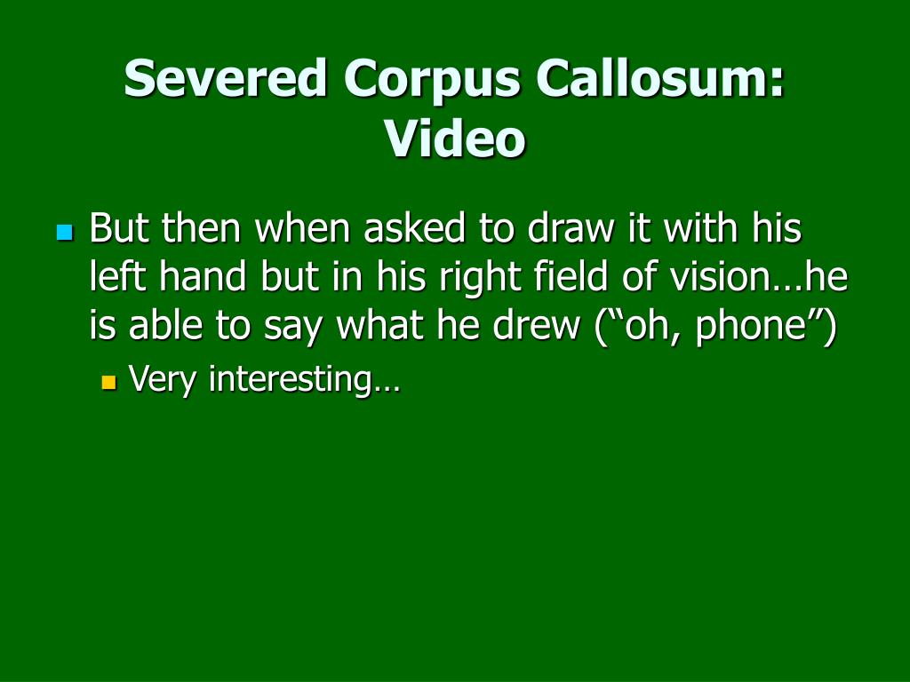 PPT - Biological Psychology – Mod. 3 & 4 The Split-Brain Phenomenon ...