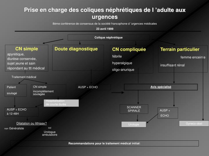 PPT - La lithiase rénale PowerPoint Presentation - ID:1419472