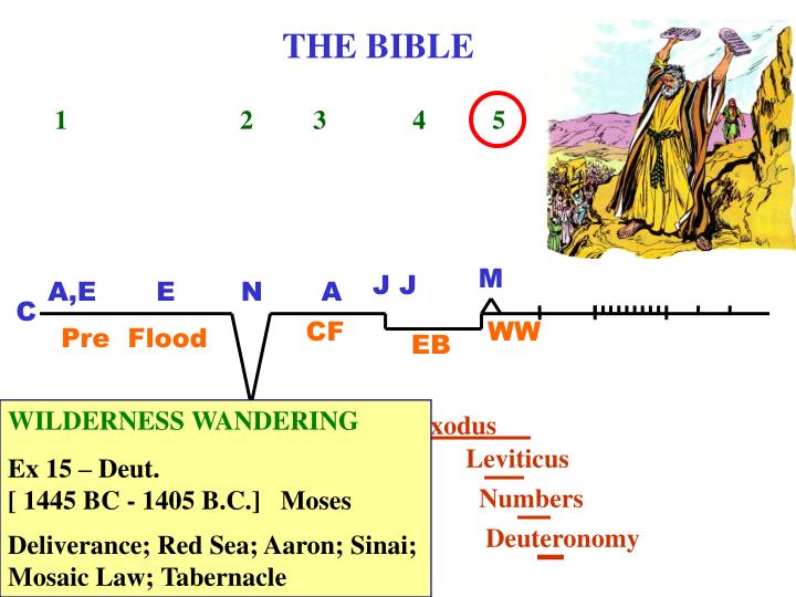 PPT - THE BIBLE PowerPoint Presentation - ID:1419950