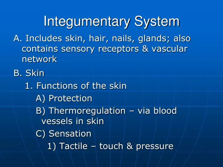 PPT - Integumentary System PowerPoint Presentation, free download - ID ...
