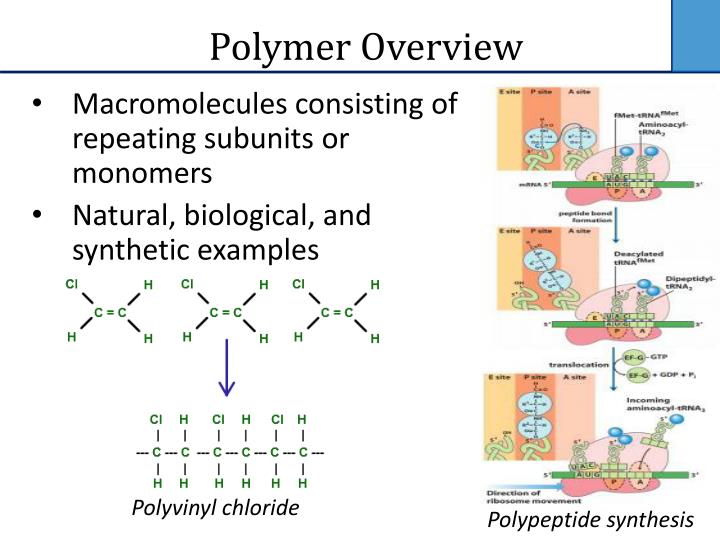 PPT - Polymers – Bouncy Balls and Spherification PowerPoint ...