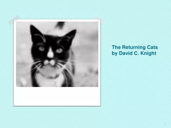 PPT - The Returning Cats by David C. Knight PowerPoint Presentation ...