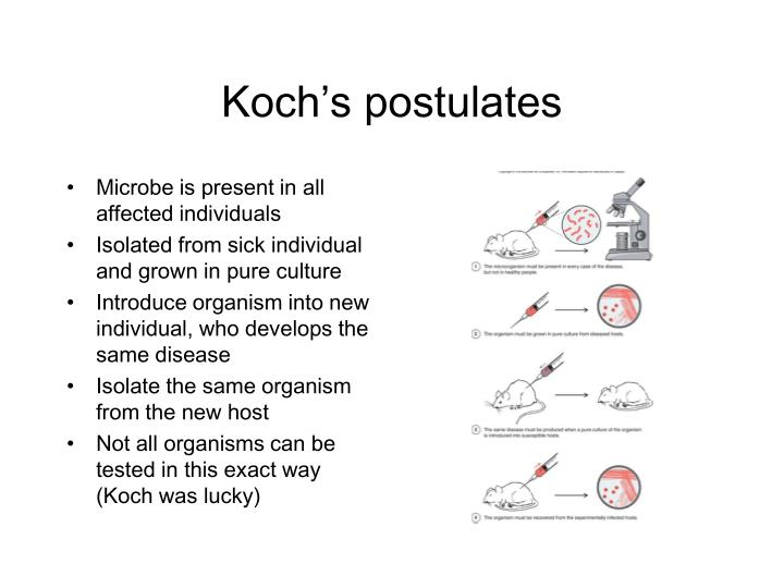 PPT - Host-microbe interactions Why do some organisms cause disease ...