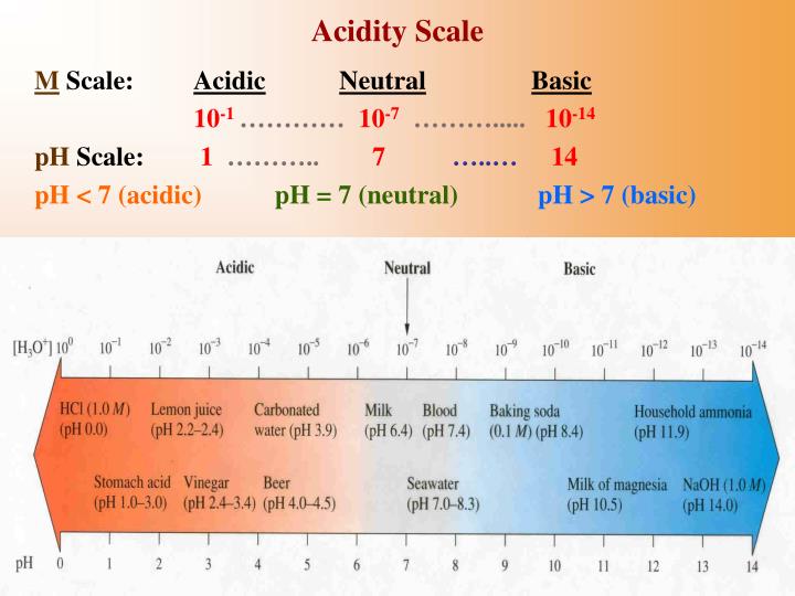 PPT - Acids and Bases Chapter 15 PowerPoint Presentation - ID:142368