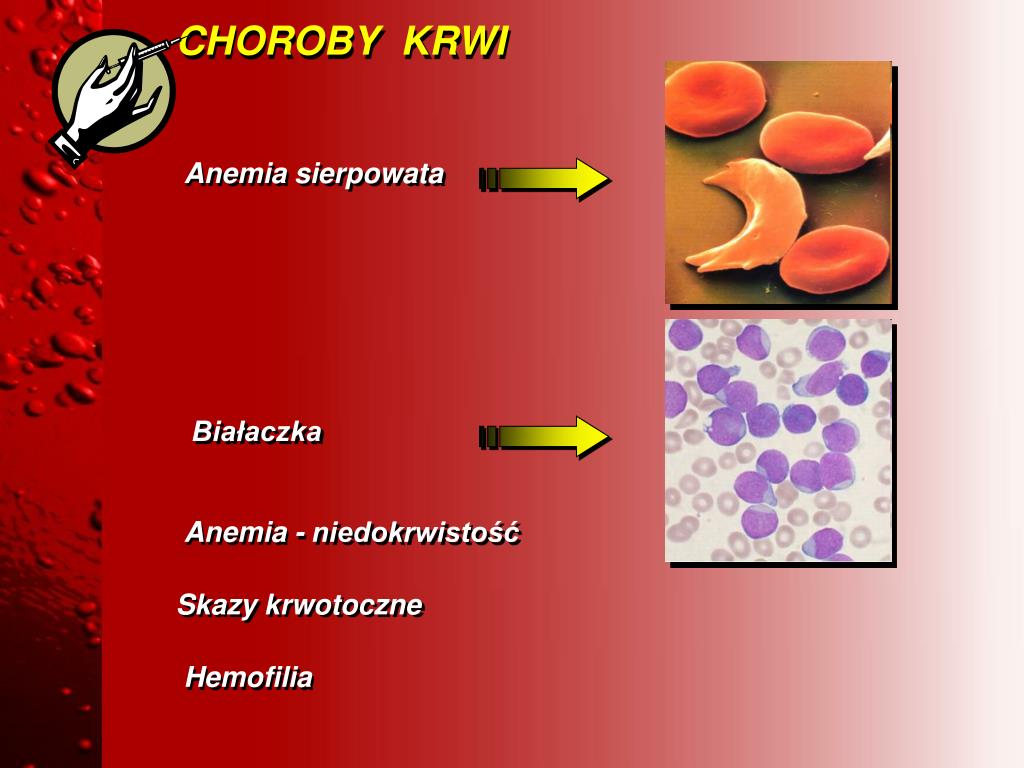 PPT - SKŁAD I ROLA KRWI PowerPoint Presentation, free download - ID:1423955