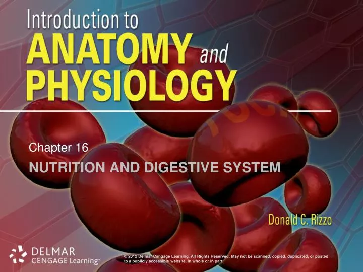 PPT - Nutrition and Digestive System PowerPoint Presentation, free ...