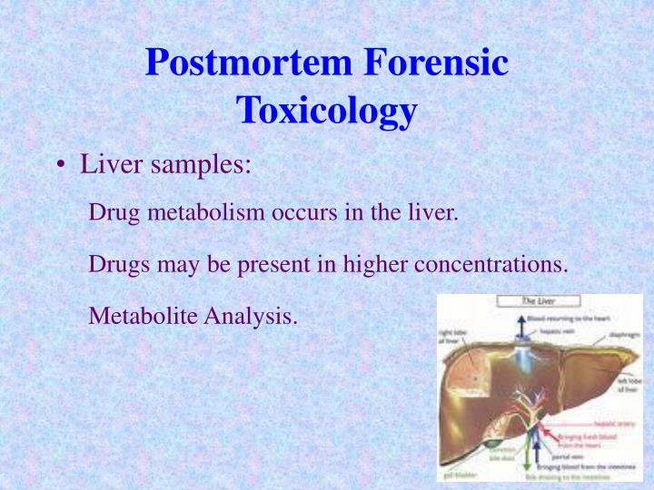 PPT - Forensic Toxicology and Alcohol PowerPoint Presentation - ID:142554