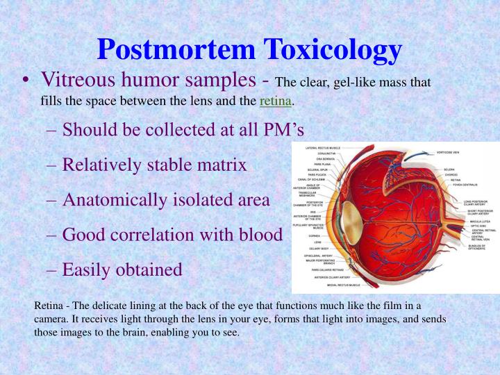 PPT - Forensic Toxicology and Alcohol PowerPoint Presentation - ID:142554