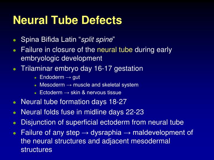 PPT - Case Presentation Meningomyelocele PowerPoint Presentation - ID ...