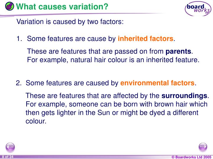 PPT - KS3 Biology PowerPoint Presentation - ID:1426040