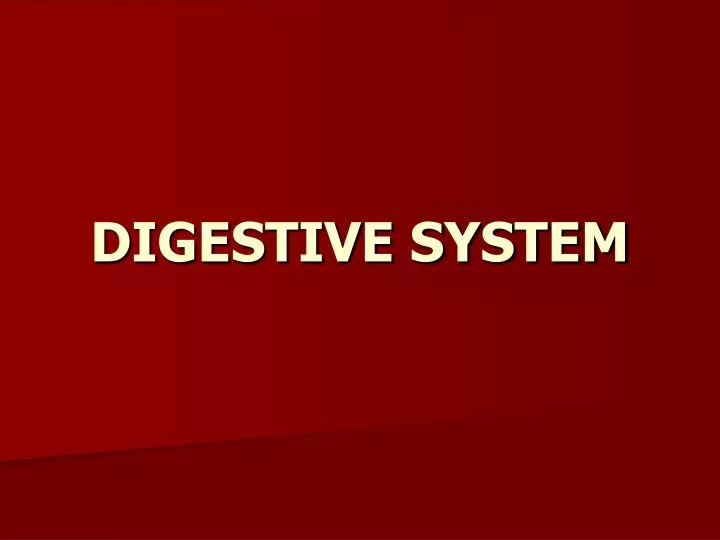 PPT - DIGESTIVE SYSTEM PowerPoint Presentation, free download - ID:1426559