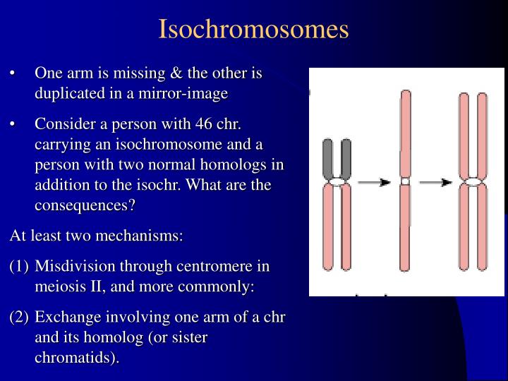 Isochromosome 17q