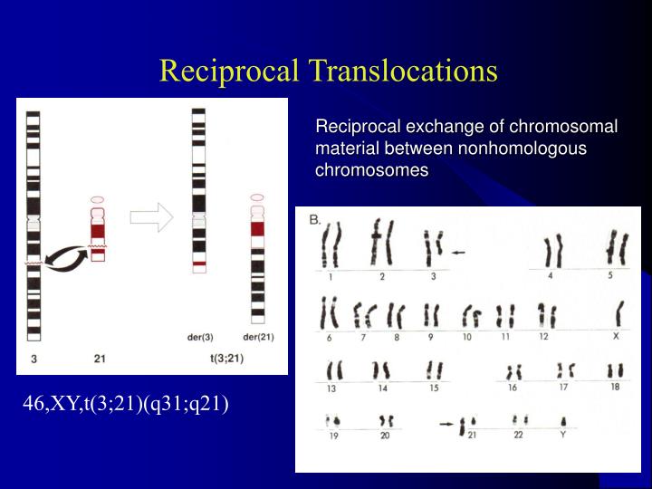 PPT - Principles of Clinical Cytogenetics PowerPoint Presentation - ID ...