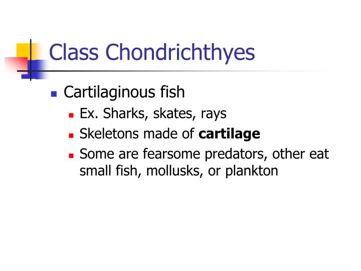 PPT - Vertebrates PowerPoint Presentation - ID:1426982