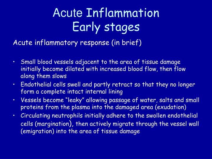 PPT - Acute Inflammation PowerPoint Presentation - ID:1427061