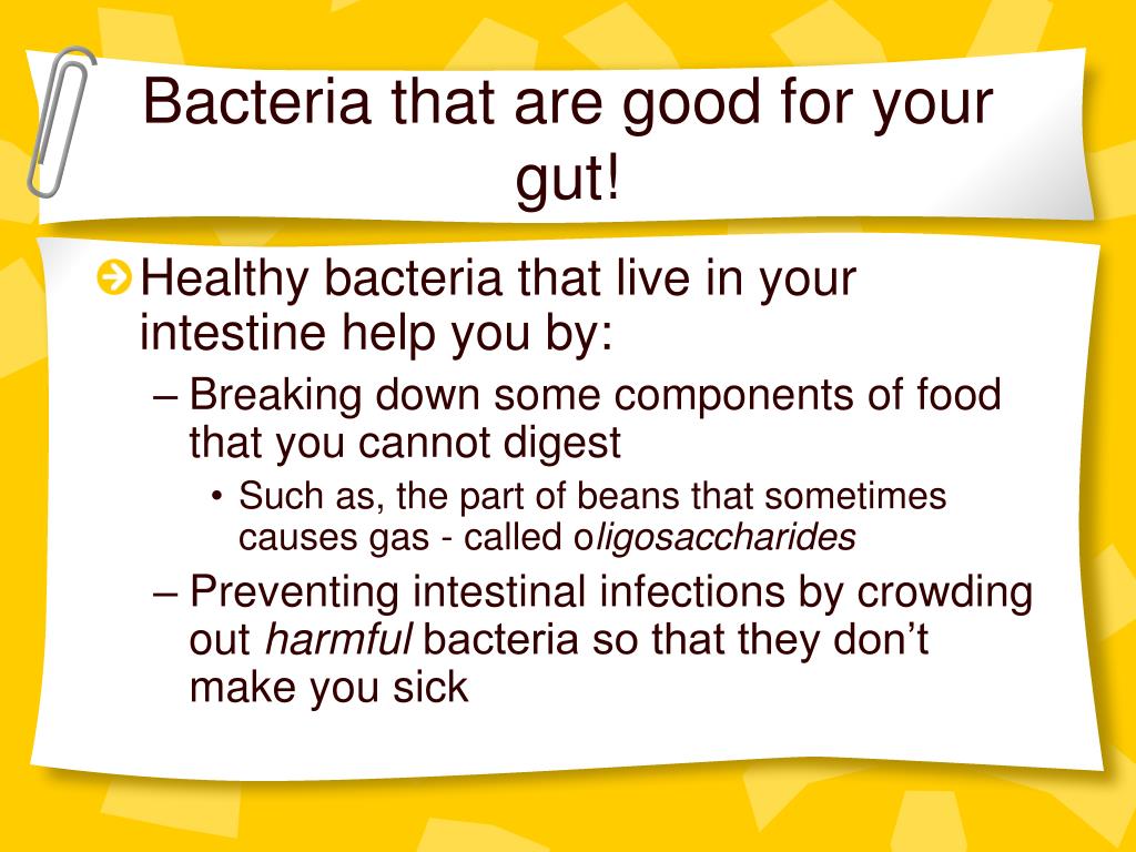 PPT - Taking Care of Our “Friendly Bacteria” Probiotics and Prebiotics ...