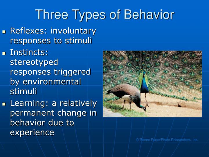 PPT - Psychology 250 PowerPoint Presentation - ID:1427579