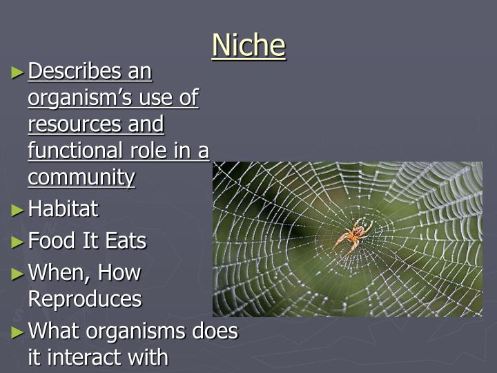 Niche Biology