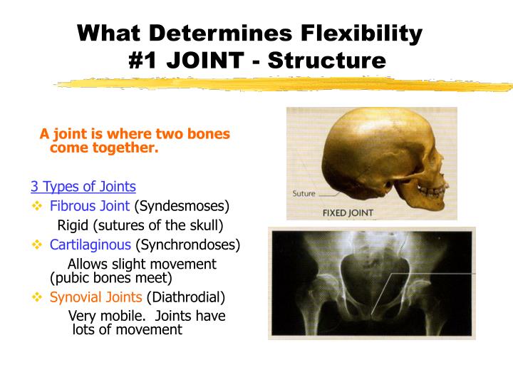 PPT - What is Flexibility? PowerPoint Presentation - ID:1428176