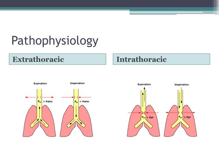 PPT - Good Morning!!! PowerPoint Presentation - ID:1428547