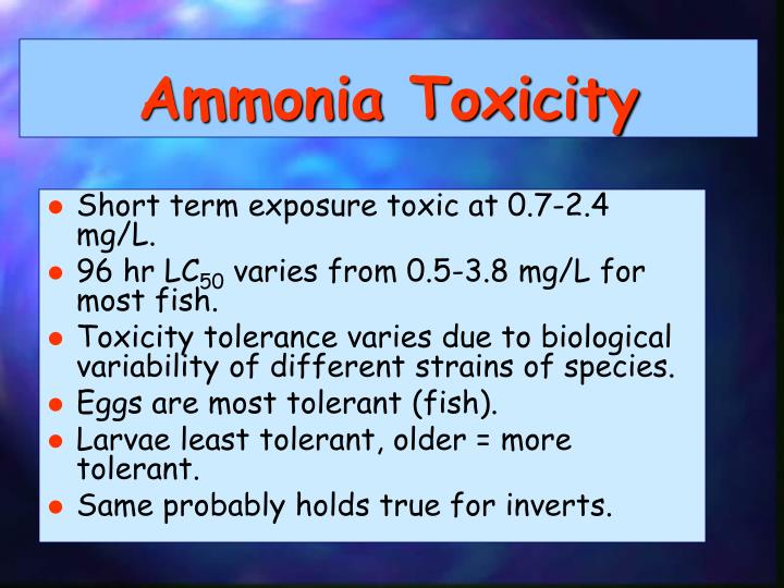PPT - Nitrogenous Compounds in Water PowerPoint Presentation - ID:1429426