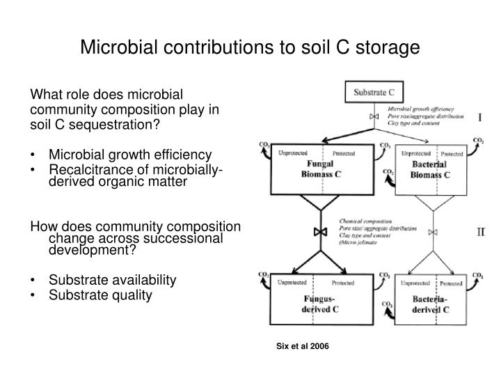 PPT - Task S7 Characterize soil microbial community composition among ...