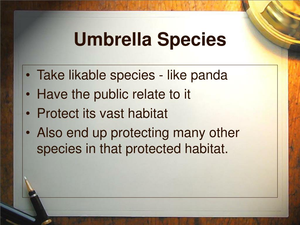 PPT - Biodiversity and Conservation Biology PowerPoint Presentation ...