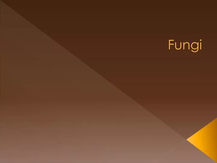 PPT - Fungi PowerPoint Presentation, free download - ID:1430533